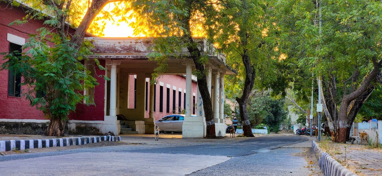 Placement Cell Portal